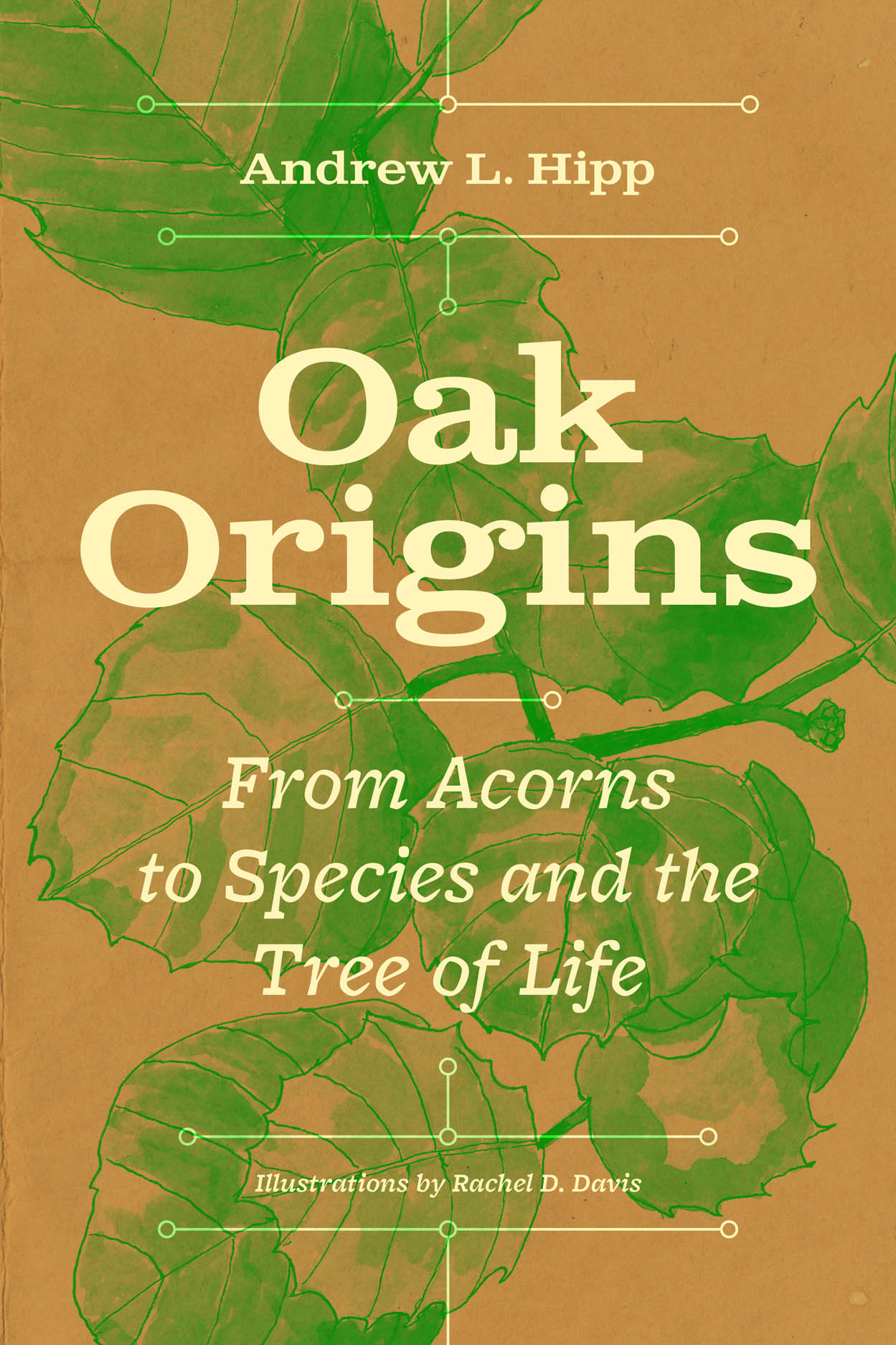 Exploring the Evolutionary Roots of Oaks – Plant Cuttings