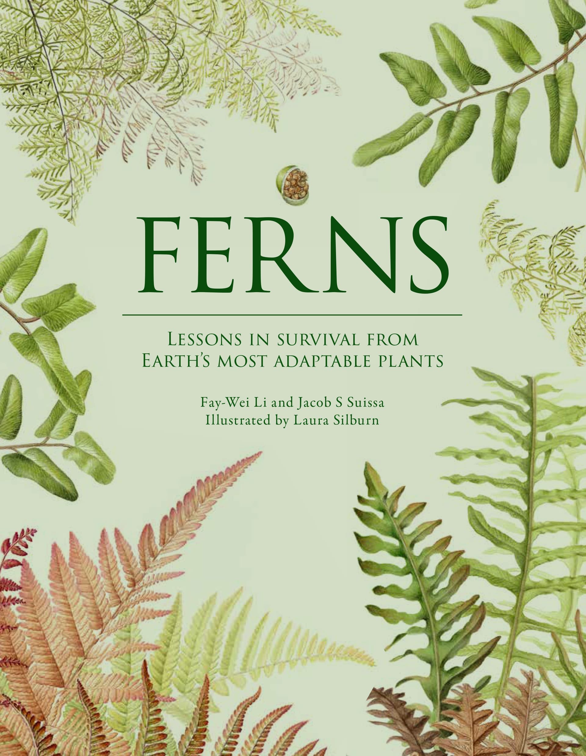 A super book about fern biology – Plant Cuttings